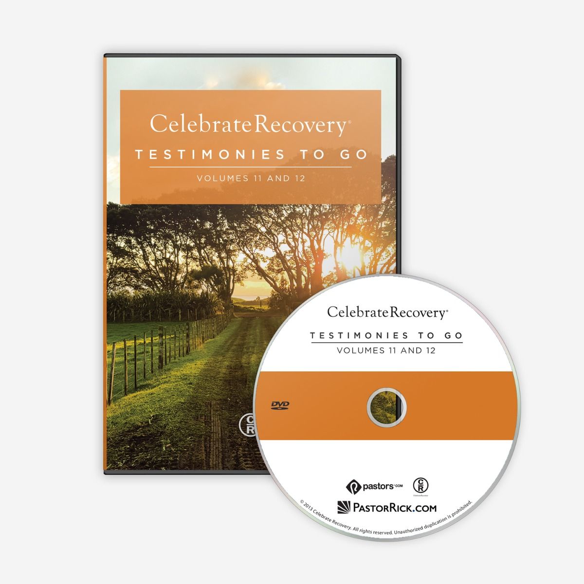 Testimonies to Go Vol. 11-12 – Celebrate Recovery Store